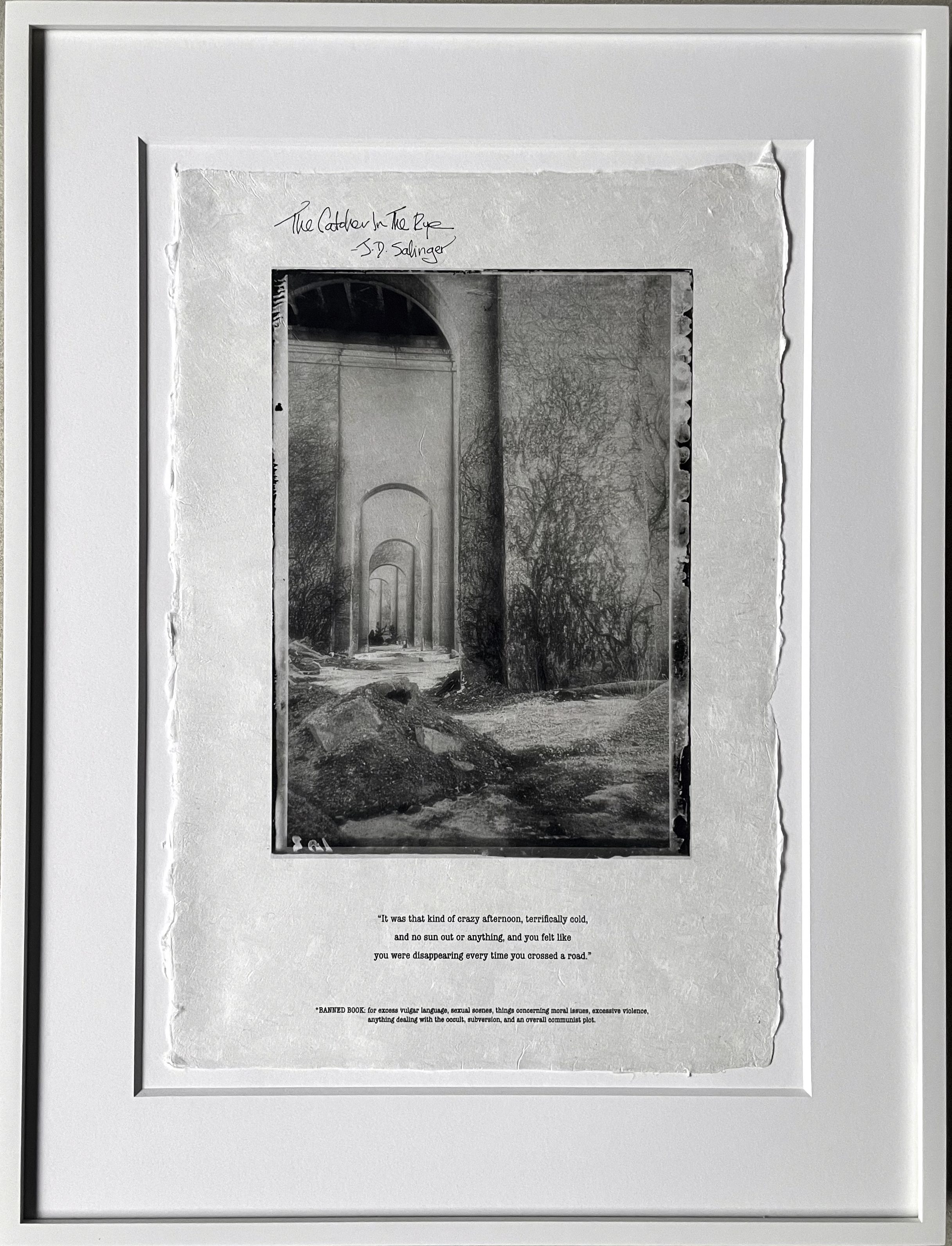 The Catcher in the Rye - Ban Censorship Art Installation